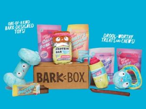 29 Perfect Gifts for a Beagle (from Budget to Luxury)