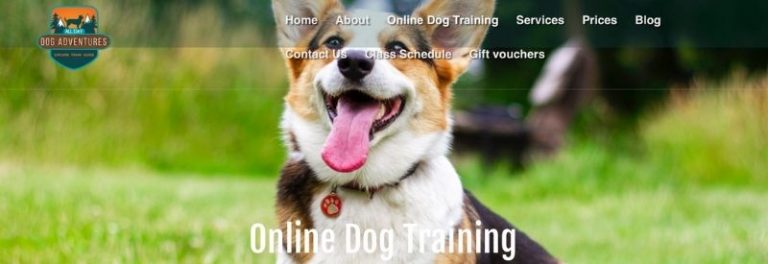 13 Best Online Dog Training Courses (That Actually Work!)