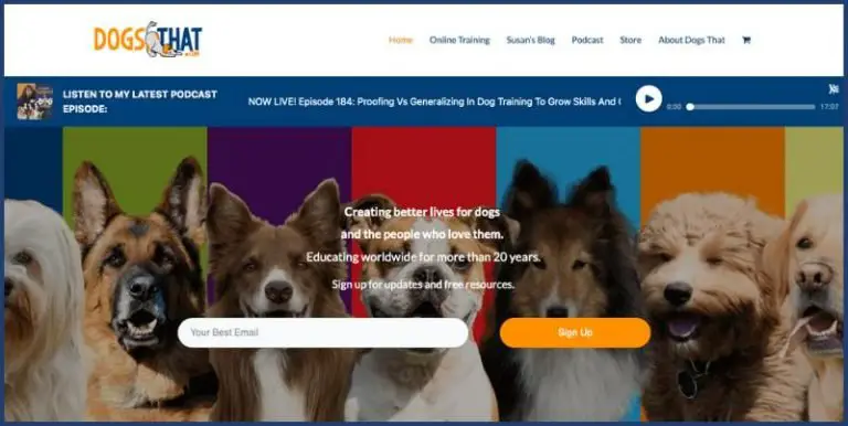 13 Best Online Dog Training Courses (That Actually Work!)