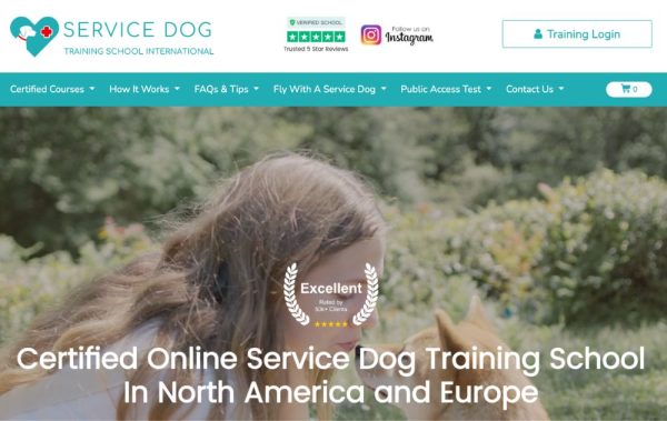 18 Online Courses for Dog Trainers (Best of 2024)