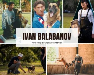 Training Without Conflict®: The Real Scoop on Certifications